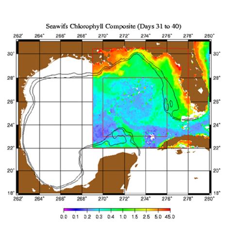 Ten Day Seawifs Ocean Color Composite Image At Model Resolution Mg M Download Scientific