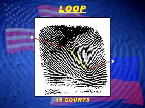 Fingerprint Classification Slide PPT Science