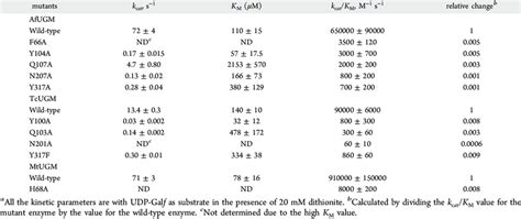 Steady State Kinetic Parameters For Ugm Variants A Download Table