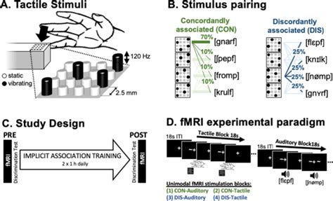 Neuronal Correlates Of Label Facilitated Tactile Perception Scientific Reports