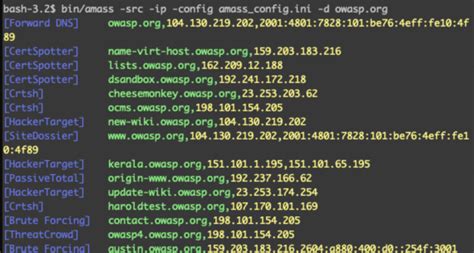 Owasp Amass In Depth Attack Surface Mapping And Asset Discovery