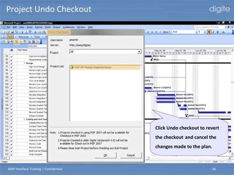 Digite Microsoft Project Integration PPT