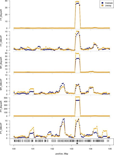 Local Gebv Variance Near The Paep Gene For Fy My And Py Using Bayesr