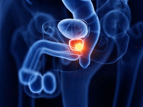 Thủ Dâm Là Gì Cẩm Nang Thủ Dâm Từ A Z ở Nam Và Nữ Giới