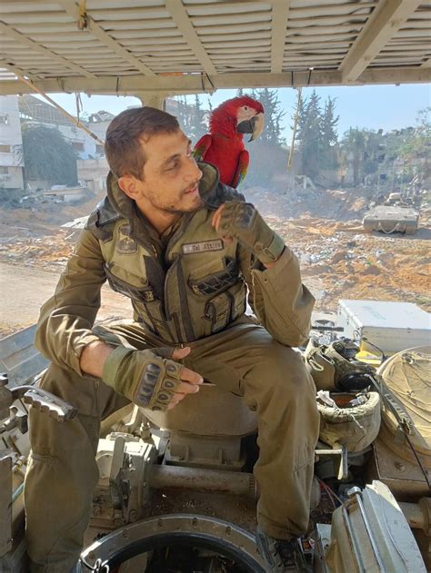 Going Home To Yerushalayim Furry And Feathered Heroes Idf