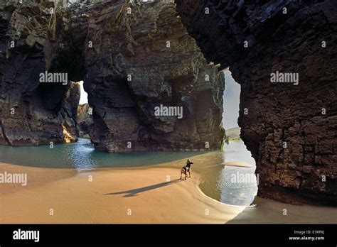 Spanien Galicien Ribadeo Cathedral S Strand Strand Hund Ebbe