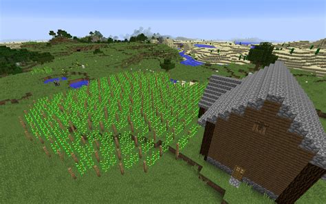the wine mod minecraft mods mapping and modding java edition