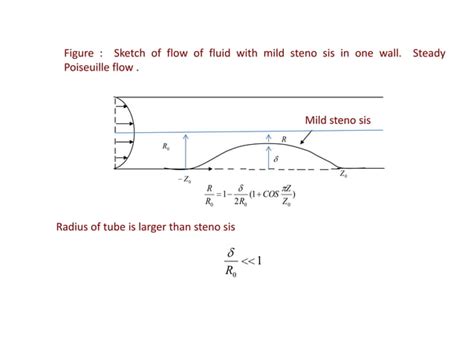 Mathematical Modelling Of Cardiovascular System Pptx Physics Science