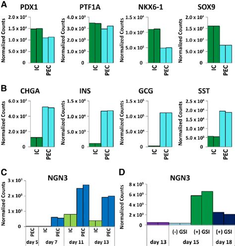 Digital Rna Analysis Of Cell Aggregates For Pancreatic Gene Expression