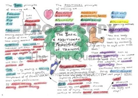 Gcse Pe Simplified Revision Book Gcsesimplified [affiliate] Pe4learning