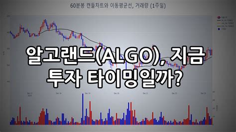 알고랜드algo 지금 투자 타이밍일까 Youtube