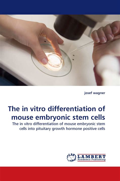 The In Vitro Differentiation Of Mouse Embryonic Stem Cells