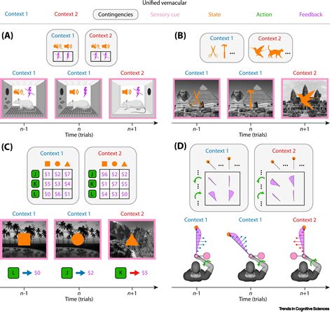 Contextual Inference In Learning And Memory Trends In Cognitive Sciences