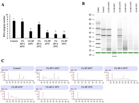 A Rna Integrity Number Rin Of Bovine Endometrial Explants Exposed