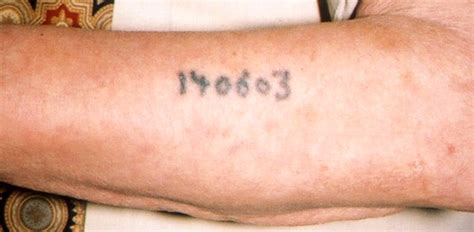 What Do Holocaust Survivors Think Of Their Tattoos War History Online
