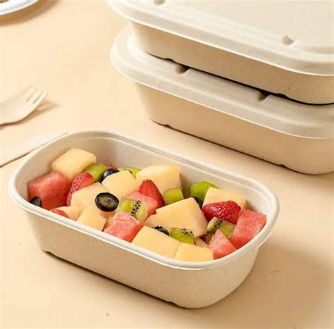Biodegradable Disposable 100% Natural 800ml Box - Disposable Bagasse ...