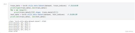 Pytorch 分类模型 数据加载方法dataloader正负标签 Csdn博客