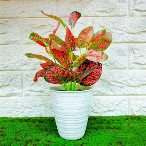 Jual Rangkaian Daun Artificial Asstd D10 Tirus Shopee Indonesia