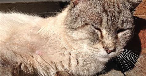 Intersting Body Pattern Album On Imgur