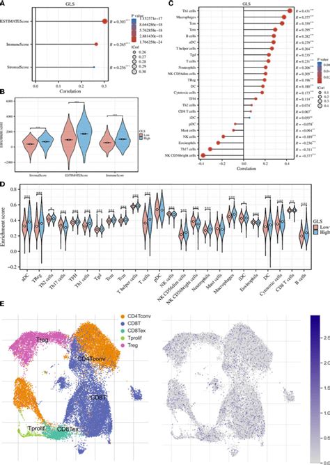 Gls As A Diagnostic Biomarker In Breast Cancer In Silico In Situ And