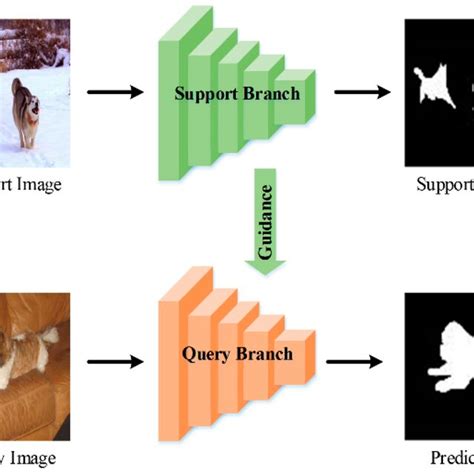 typical structure of the few shot semantic segmentation download