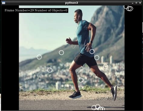 Human Pose Detection Model Isses With Converted Model Output In