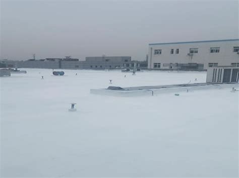 Tpo Waterproof Membrane Factory Pvc Waterproof Membrane Manufacturer