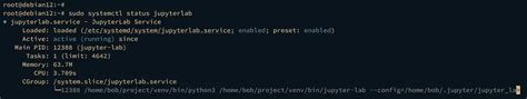 Guide To Install Jupyterlab On Debian 12