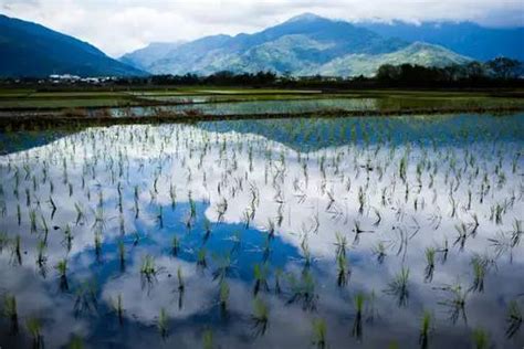 Java和c你更看好哪个? Java和c你更看好哪个?