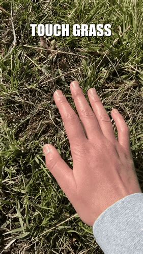 Rare Cs Grass Touching  Rare Cs Grass Touching Discover And Share S