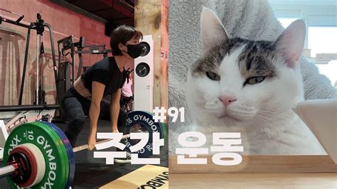 91 짧은 최근 운동 파워리프팅 스쿼트 벤치프레스 데드리프트 Youtube