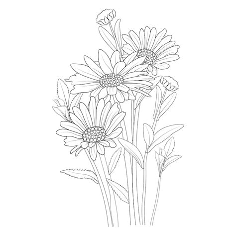 손으로 그린 데이지 꽃 꽃다발 벡터 스케치 그림 새겨진 잉크 아트 식물 잎 지점 프리미엄 벡터