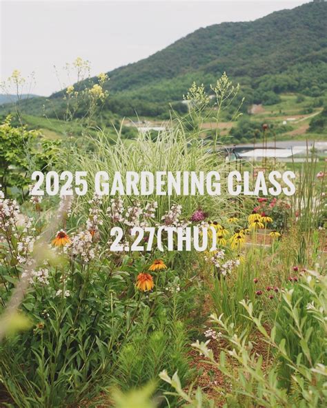 감물 농부 꽃 허브 식물 정원 가드닝 드라이플라워 온실 짓는게 집 짓는거에 비할 바는 아니겠지만 쉽지 않다 힘들게 만들었는데 쓰레기로 빨리 변하지 않고 오랫동안