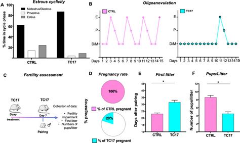 Effect Of The Spatial Temporal Specific Theca Cell Cyp17 Overexpression On The Reproductive