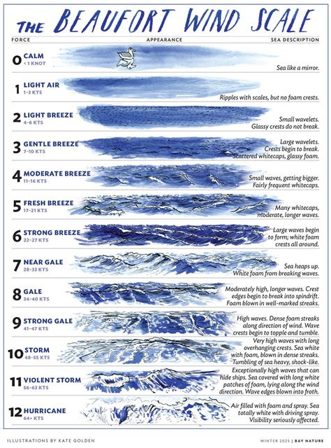 A 200 Year Old Scale That Will Help You Read The Wind Bay Nature