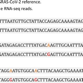 An Example Of An Alignment Between An RNA Seq Read And The Reference Download Scientific