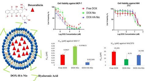 Preparation Optimization And In Vitro Evaluation Of Doxorubicin‐loaded Into Hyaluronic Acid