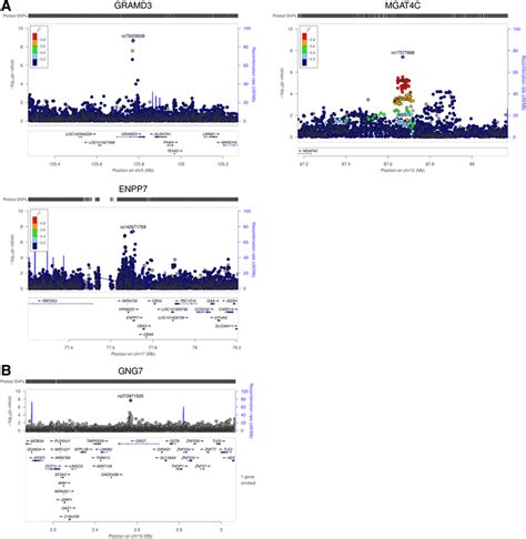 Locus Plots Of Genome Wide Associations In The Apol1 Negative Model A