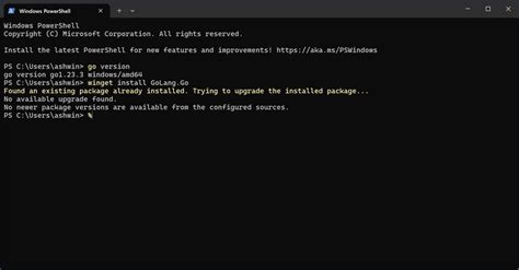 Installing Go On Windows 11 In One Command DEV Community