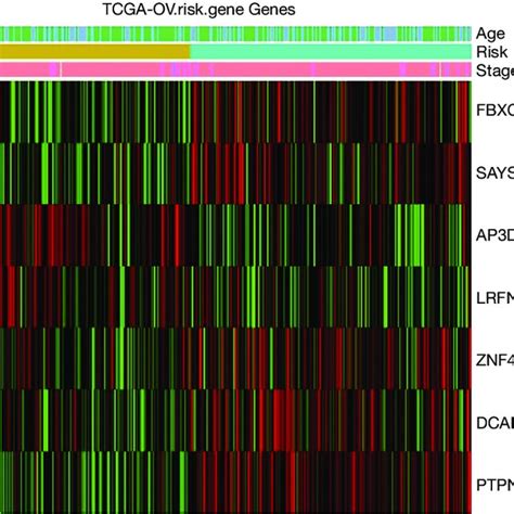 Heat Map Displaying The Expression Level Of Risk Genes In The Low Risk