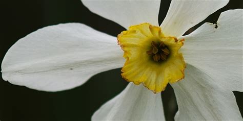 Sending Logs To Humio Using The Elasticsearch Destination Of