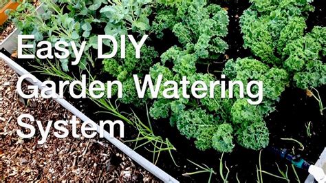 Diy Garden Watering System Easy And Cheap Youtube