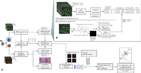 Figure 1 From Machine Learning Enabled Pooled Optical Screening In