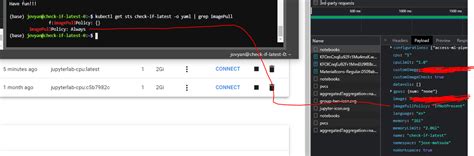 Might Not Be An Issue May Be Specific To My Own Environment Imagepullpolicy Option In Jupyter