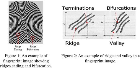 Figure 1 From Fingerprint Recognition System Using Minutiae Estimation Semantic Scholar