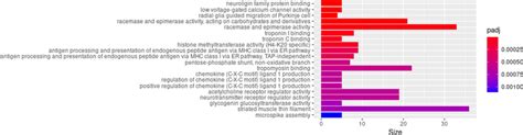 enriched gene sets from the go database min gene set size 4 among