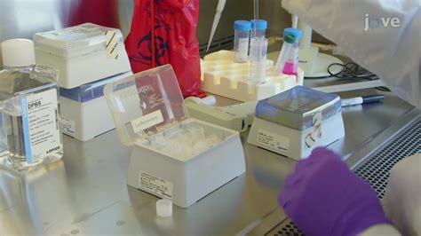 Video Matrix Based Tumor Invasion Model Using Microglia Glioblastoma