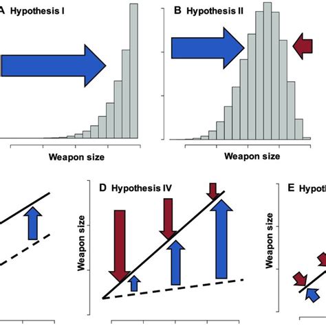 Five Hypotheses For How Selection Acts On Sexually Selected Traits In
