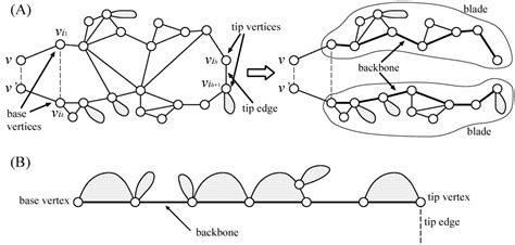 Algorithms Special Issue Graph Algorithms