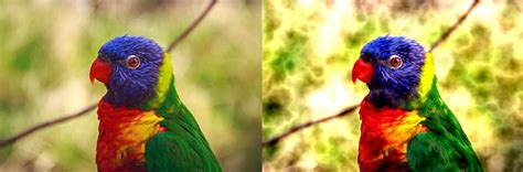 GitHub Alxgiraud Noise Picture Experiment Having Fun With Canvas And Perlin Simplex Noise